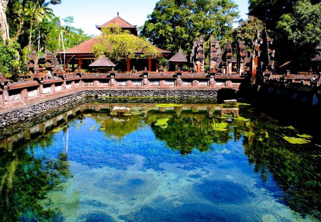 Home Pages - Orex Travel & Tours