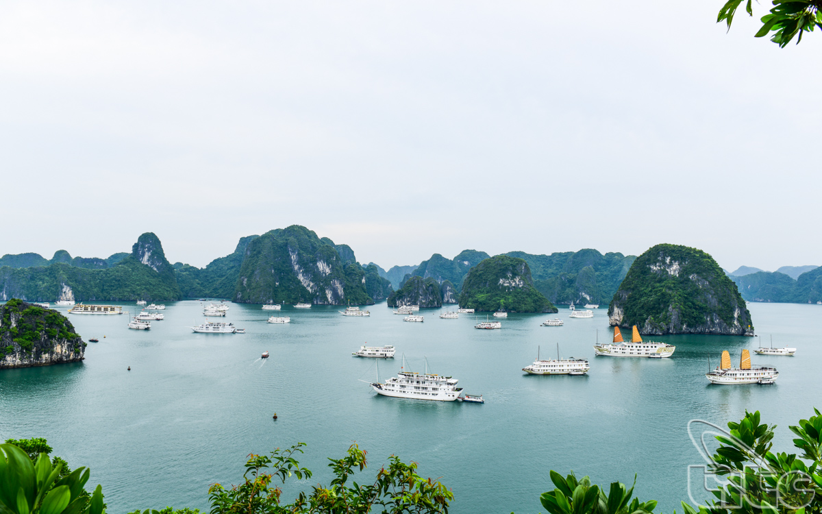 6D5N Hanoi, Sapa & Halong Bay Tour - Orex Travel & Tours
